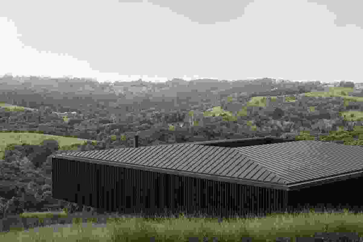 Federal House by Edition Office | ArchitectureAu