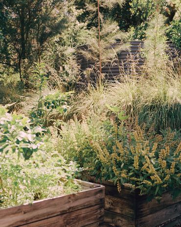 Ground-up transformation: Decolonizing the garden | Landscape Australia