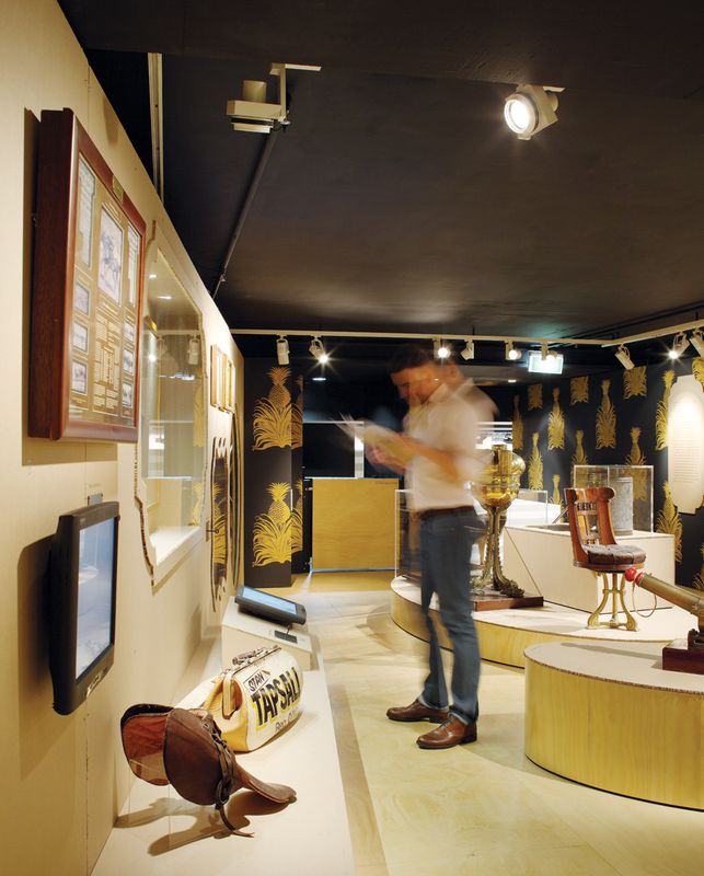 Cabinet of Curiosities | ArchitectureAu