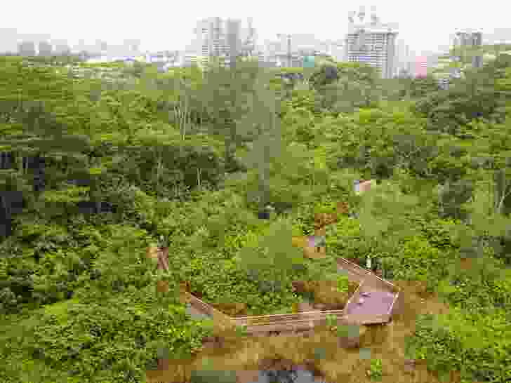 Design beyond biophilia: 2026 Dulux Study Tour, Singapore | ArchitectureAu