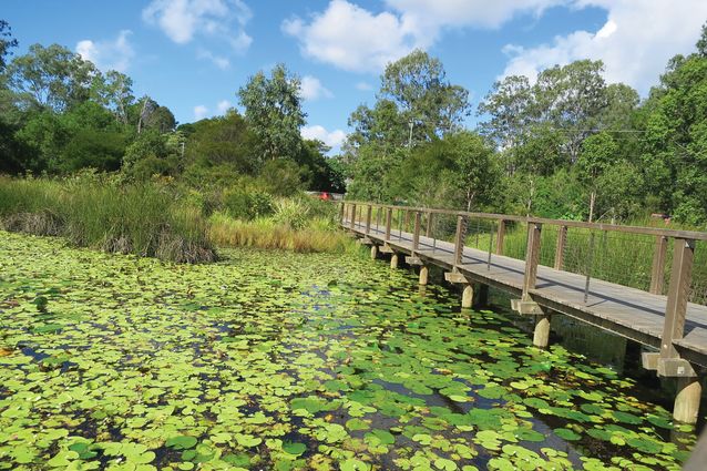 Rethinking our approach to urban green space provision | Landscape ...