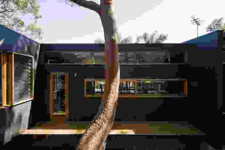 Seven arboreal abodes that prioritize established trees | ArchitectureAu