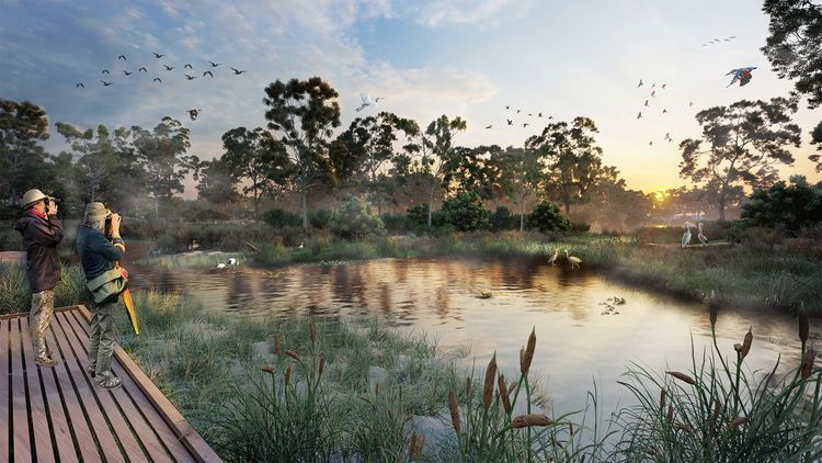 Transformation of former inner-Melbourne golf course to nature reserve ...