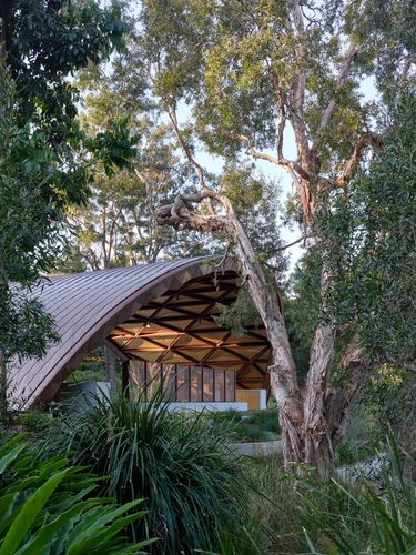 Is it time to normalise mass timber in construction? | ArchitectureAu