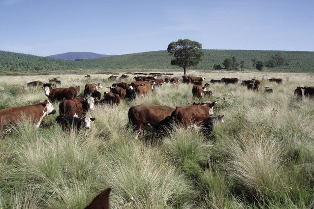2010 AILA National Landscape Architecture Award: Land Management ...