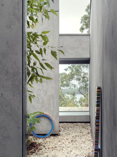 Balancing fire and forest: Building a BAL-FZ home within a canopy of ...