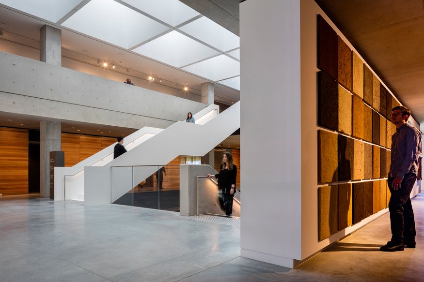 The ‘robust’ and ‘blunt’ Chau Chak Wing Museum | ArchitectureAu