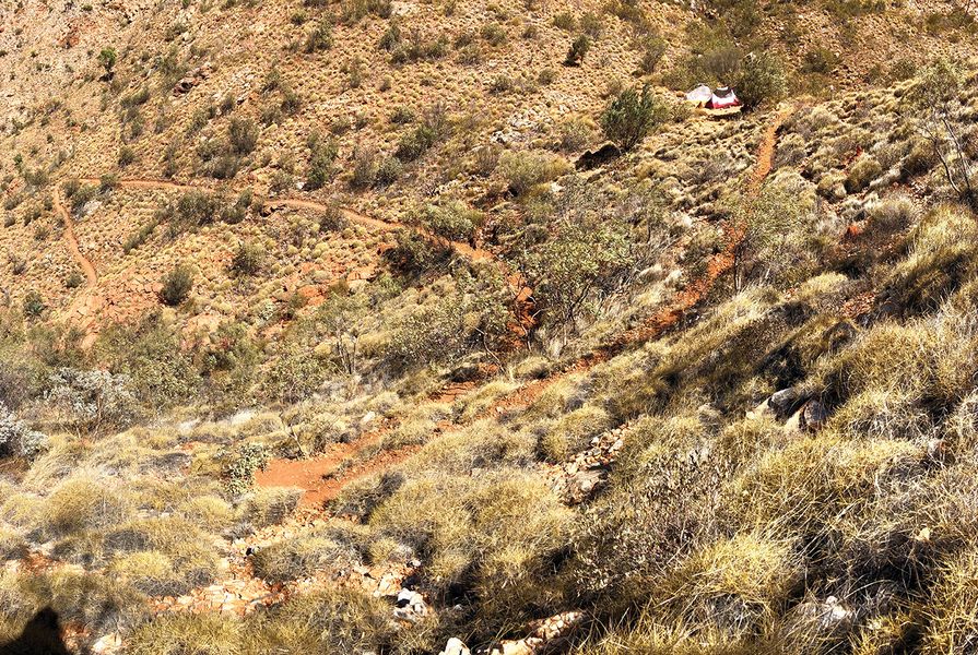 Site lines: Tricky Tracks | Landscape Australia