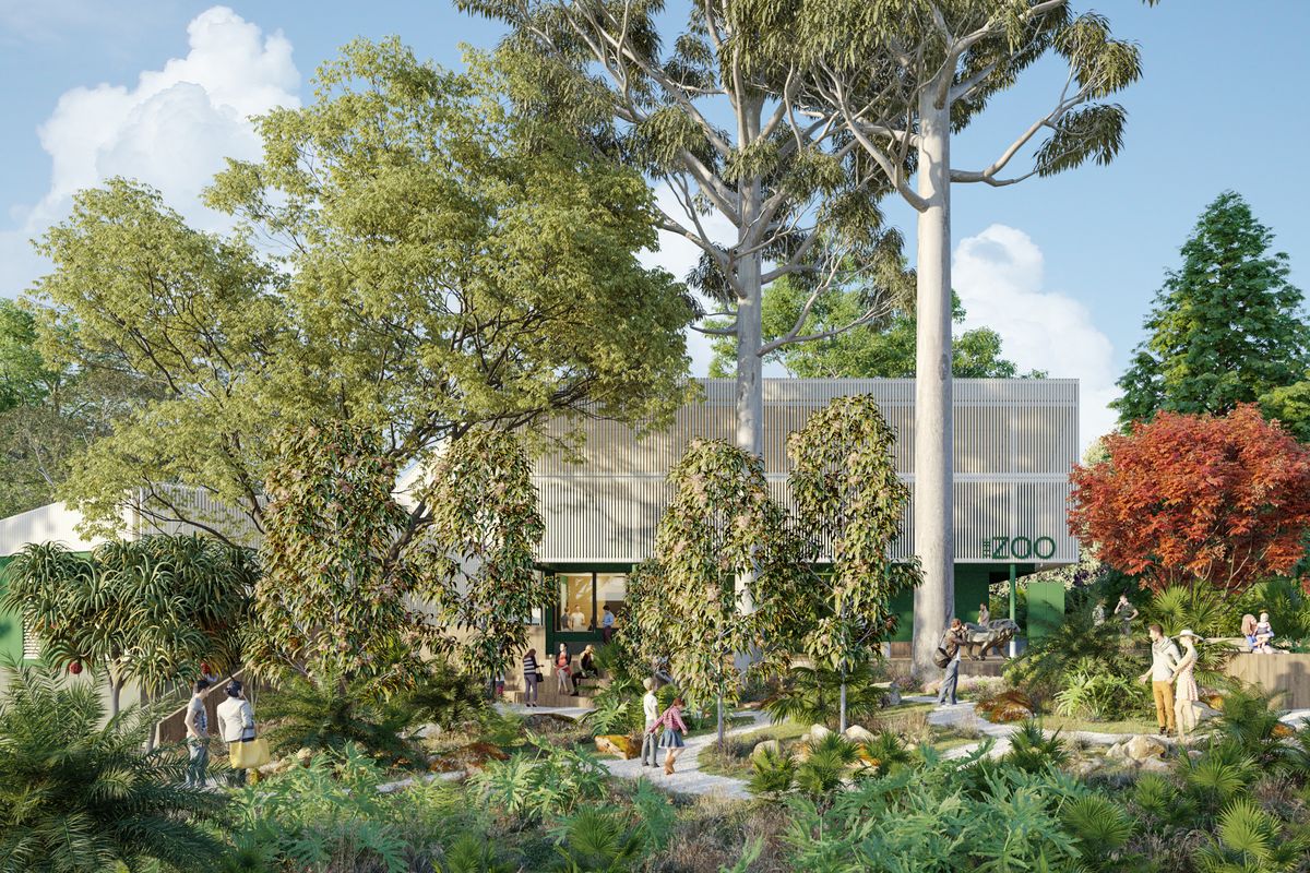 Construction begins on Rockhampton Zoo visitor hub | ArchitectureAu Construction begins on Rockhampton Zoo visitor hub | ArchitectureAu
