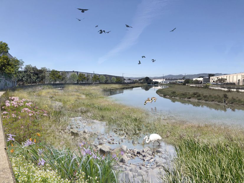 Riparian resilience: Reimagining Colma Creek | Landscape Australia