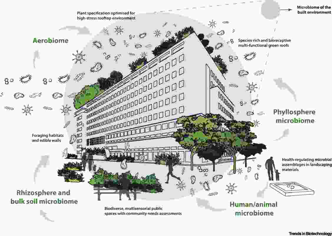 Designing the microbiome | Landscape Australia