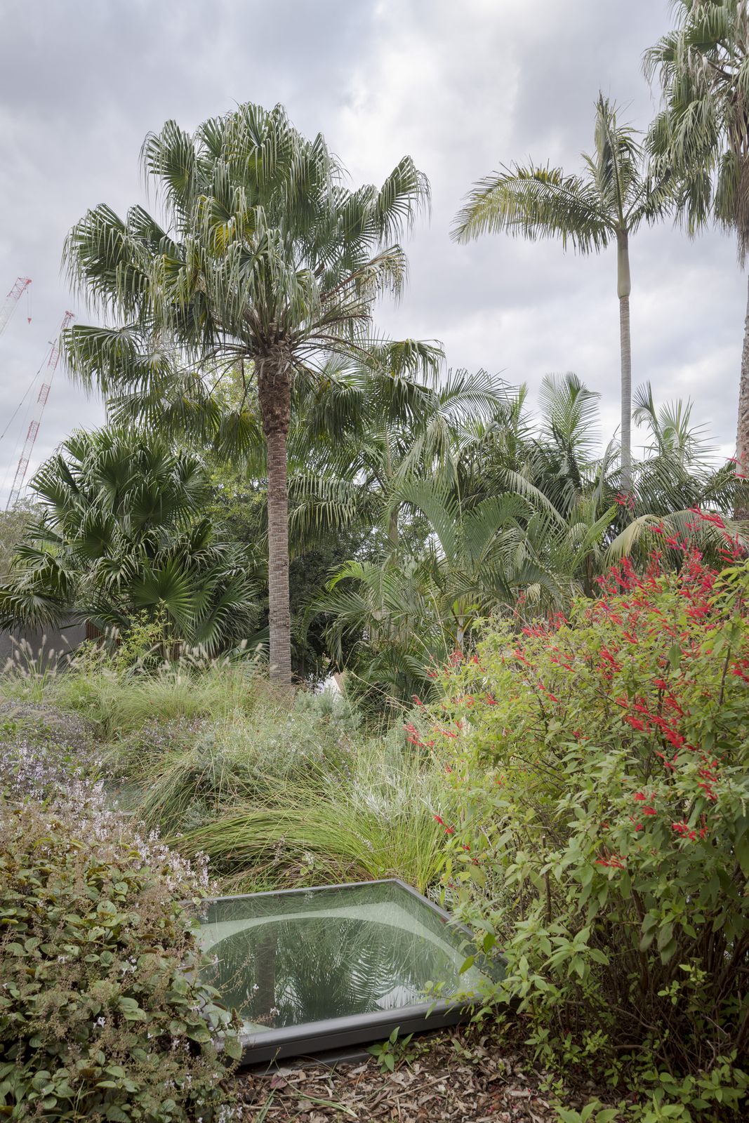 2024 Houses Awards: Garden or Landscape | ArchitectureAu