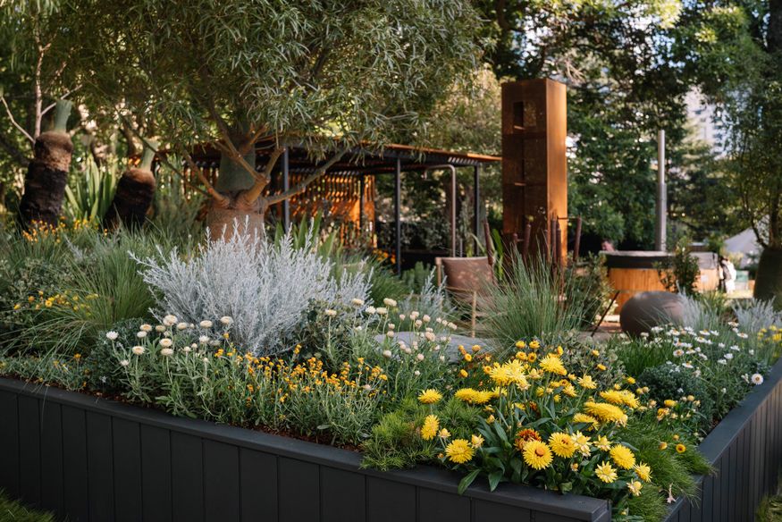2025 Melbourne Flower and Garden Show garden design winners revealed ...