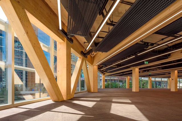 World's tallest commercial building made of engineered timber opens in ...