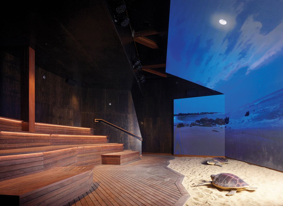 ‘Another 50 years' of research and conservation: Mon Repos Turtle ...