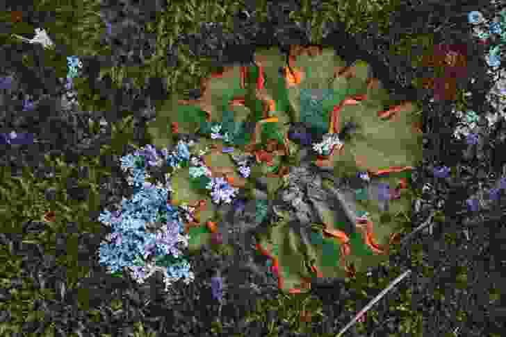 Designing the microbiome | Landscape Australia