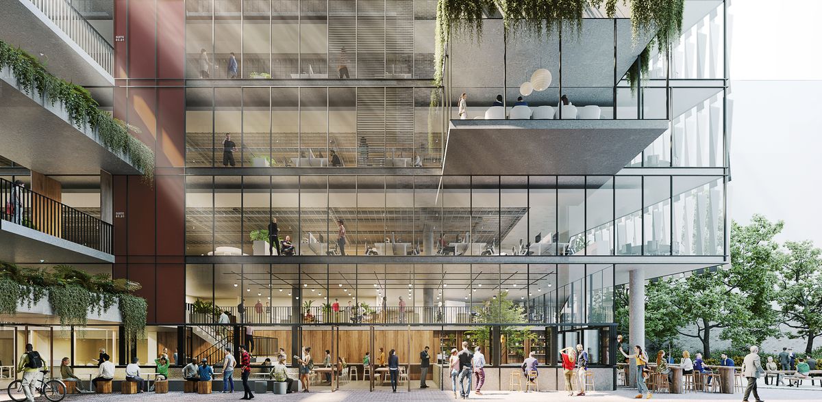 Cox Architecture wins competition to design Botany Road tower ...