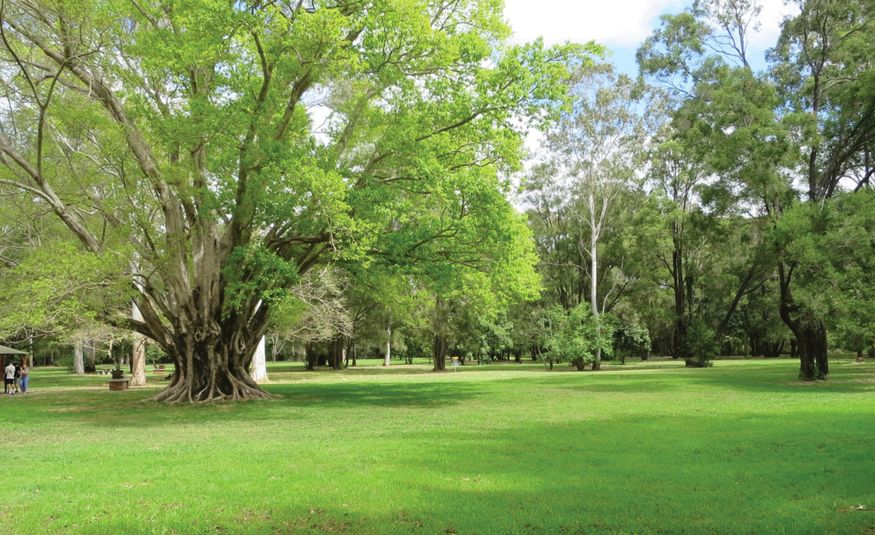 Rethinking our approach to urban green space provision | Landscape ...