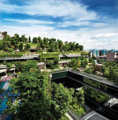 Creating stronger communities: Kampung Admiralty | ArchitectureAu