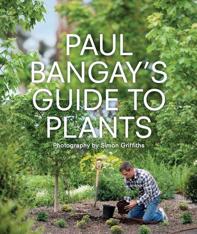 Paul Bangay’s Guide to Plants | ArchitectureAU