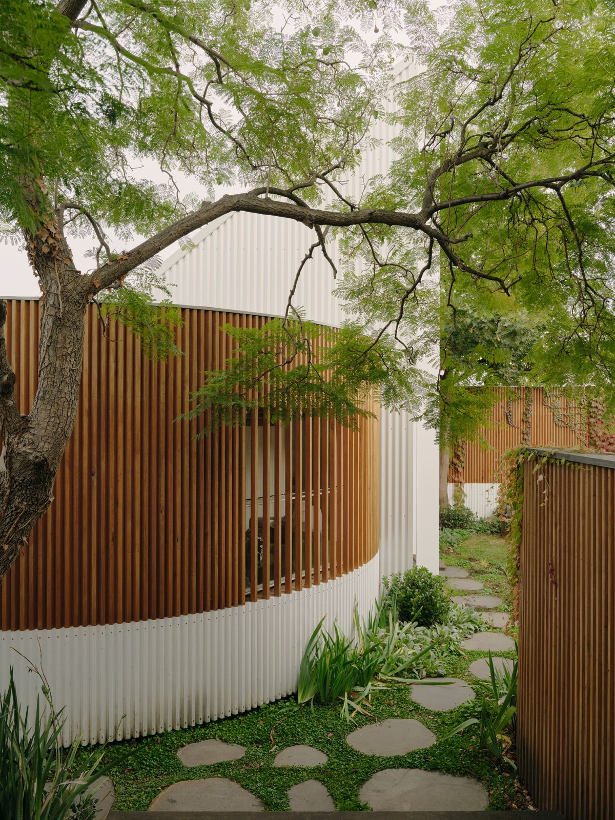 Hawthorn 1 by Agius Scorpo Architects | ArchitectureAu