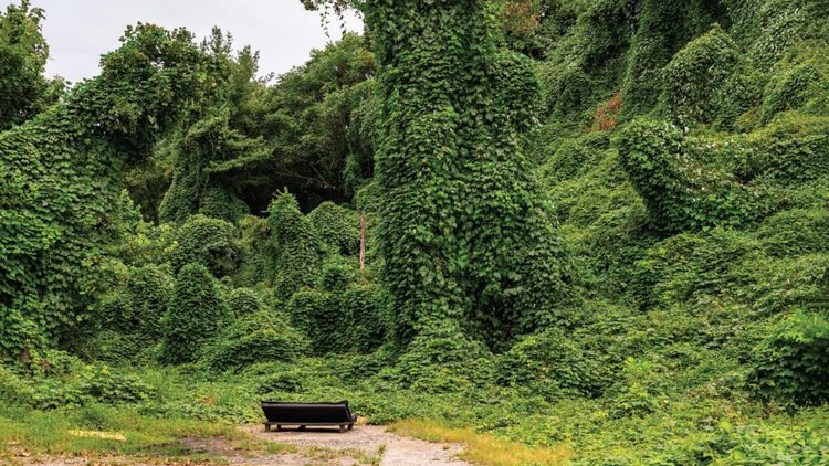 Wild: Design for a World Beyond Control | ArchitectureAu