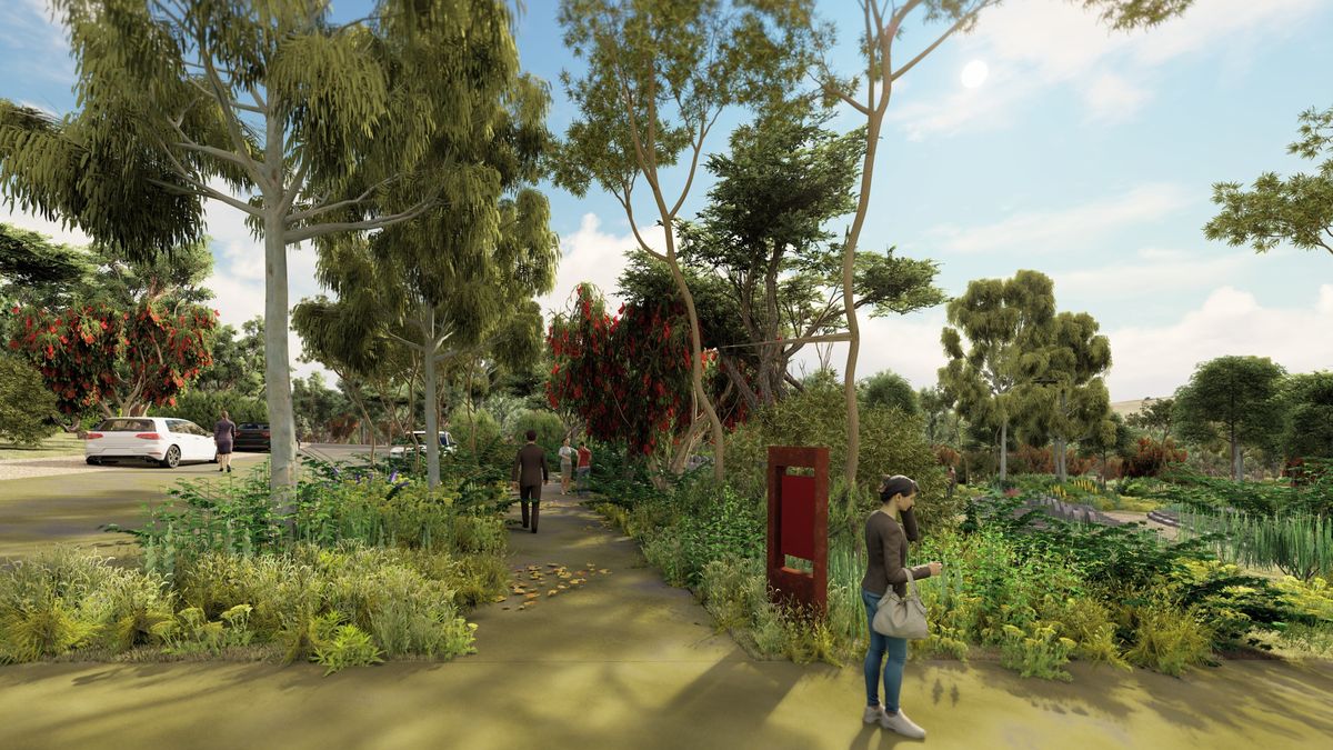 Draft masterplan for Canberra "bush cemetery" revealed | Landscape ...