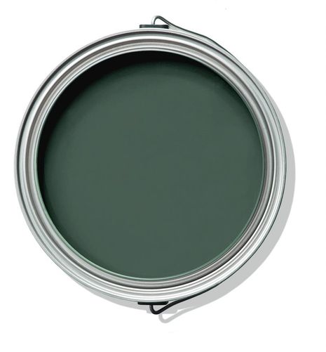 Taubmans' Colour of the Year a ticket to a ‘dense tropical jungle ...