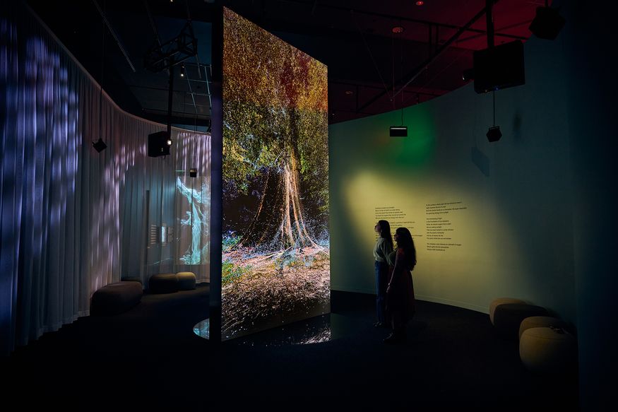 Communicating interconnection: Works of Nature at ACMI | Landscape ...