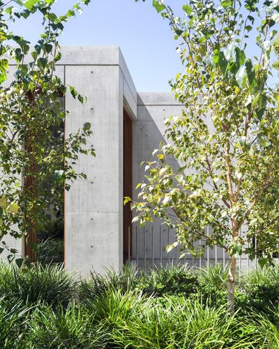 Treetops House by Tobias Partners | ArchitectureAu