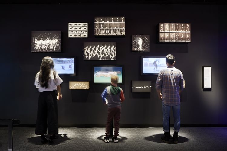 BKK's ACMI redevelopment makes its mark at Fed Square | ArchitectureAu