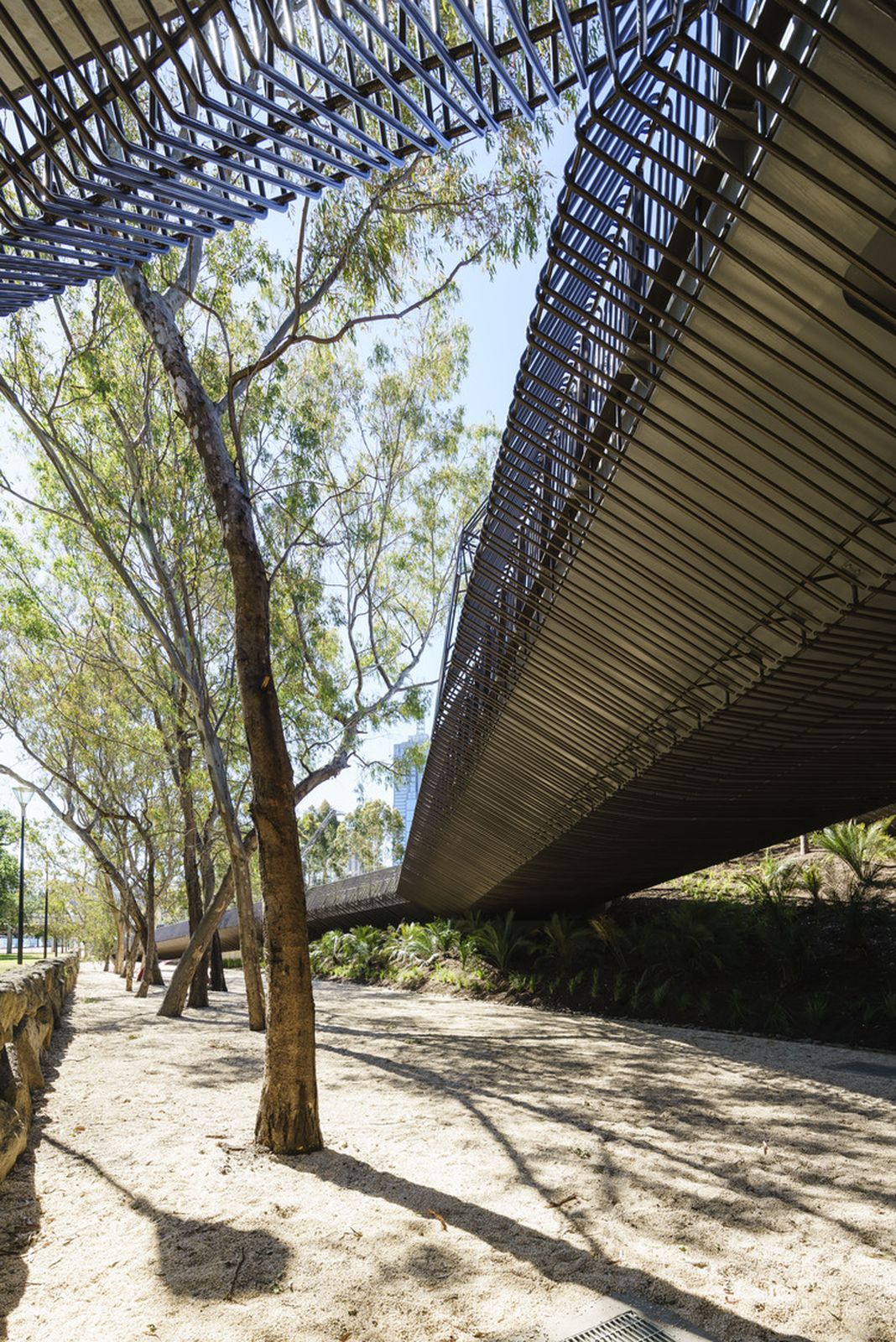 John Wardle Architects, NADAAA-designed Tanderrum Bridge opens ...