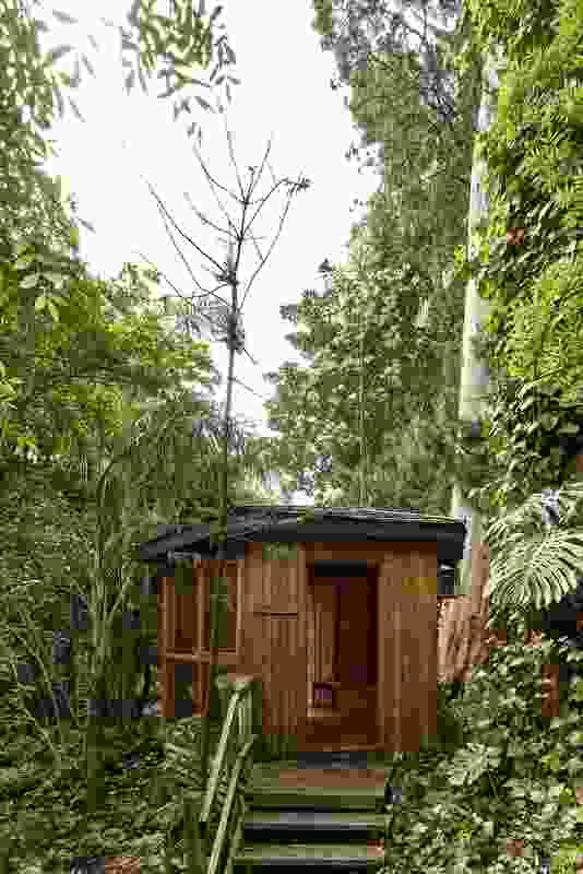 Revisited: Azalea House by John Chappel | ArchitectureAu