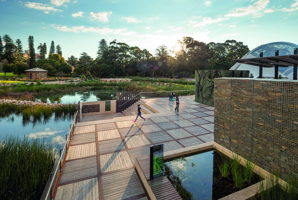 Adelaide Botanic Gardens Wetland by TCL | ArchitectureAu