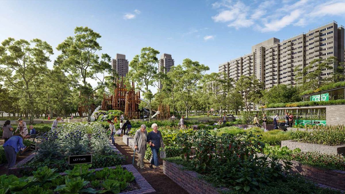 City of Sydney proposes alternative Waterloo public housing ...