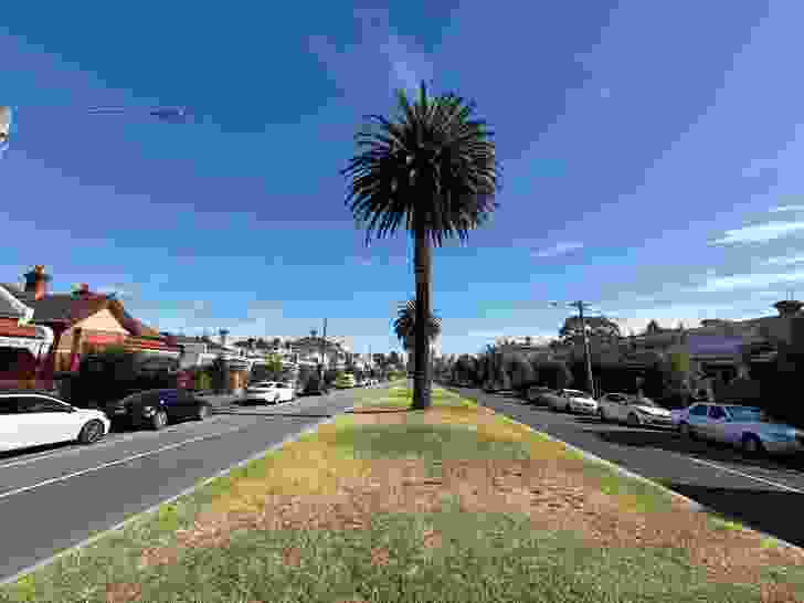 Contested territory: Streetscape as landscape | Landscape Australia