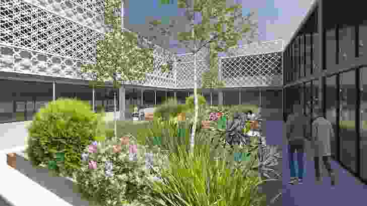 Architecture as medicine: How design is reshaping the language of ...