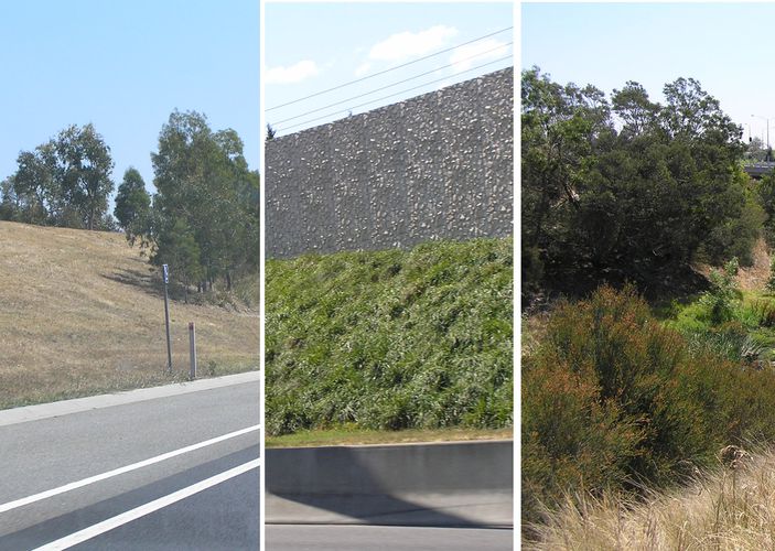 2012 AILA National Landscape Architecture Award: Research and ...