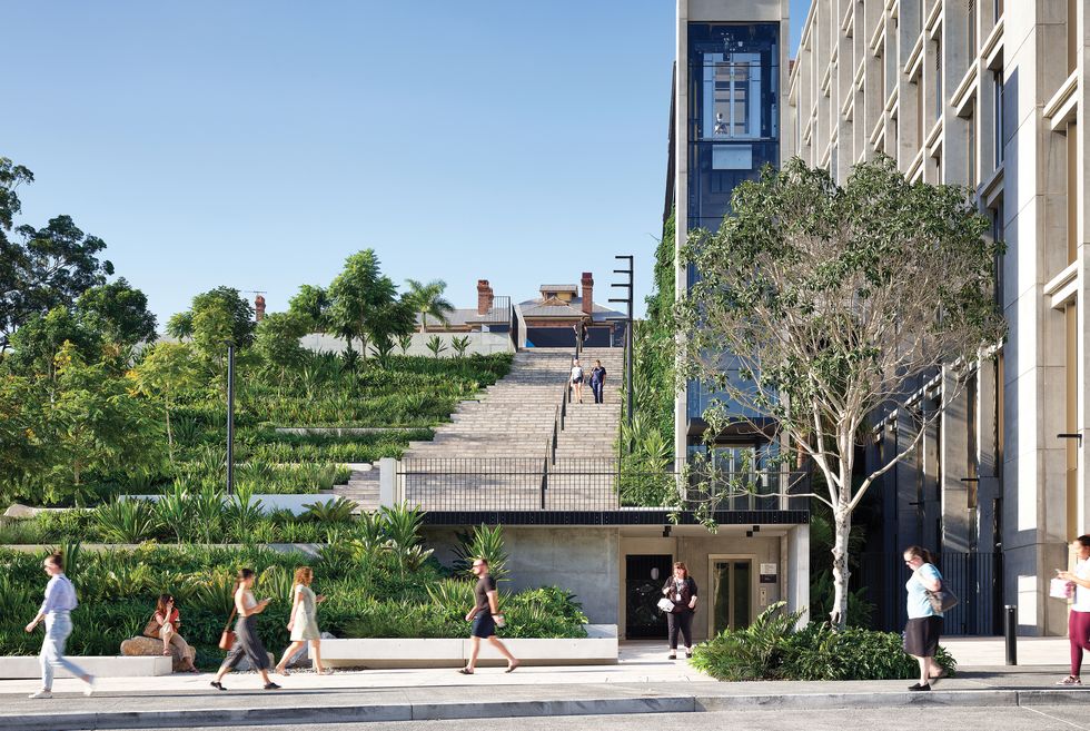 Viewpoint: Delivering biodiversity-positive design | Landscape Australia