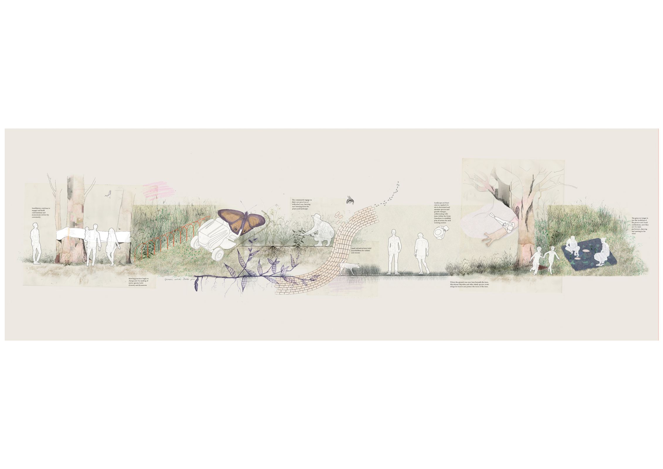 Turning a Sydney park into a dynamic grassland: Chloe Walsh | Landscape ...