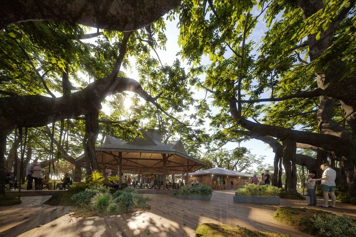 Two Australian zoos to be transformed | ArchitectureAu