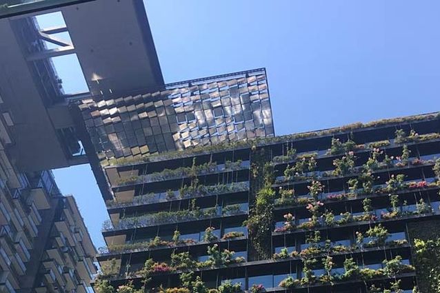 Chippendale Walk | ArchitectureAu