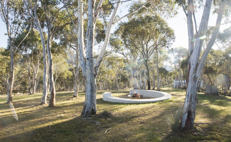 The New Australian Garden: Landscapes for living | Landscape Australia