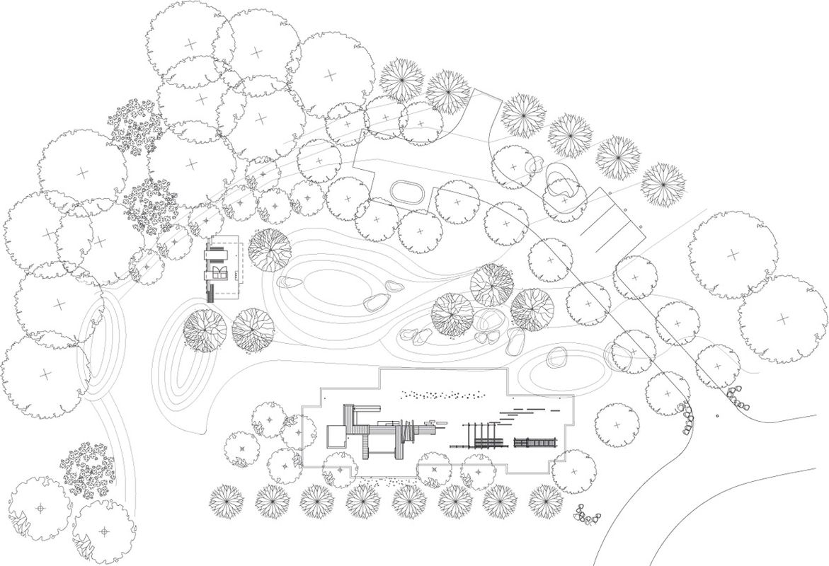 Tall Tree Park | ArchitectureAu