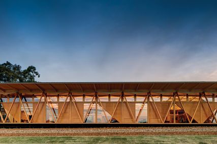 Jungle book: Woollahra Library | ArchitectureAU