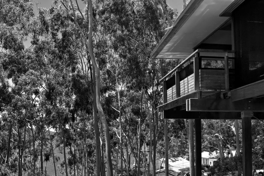 Jacqueline Urford on Rickard House III | ArchitectureAu