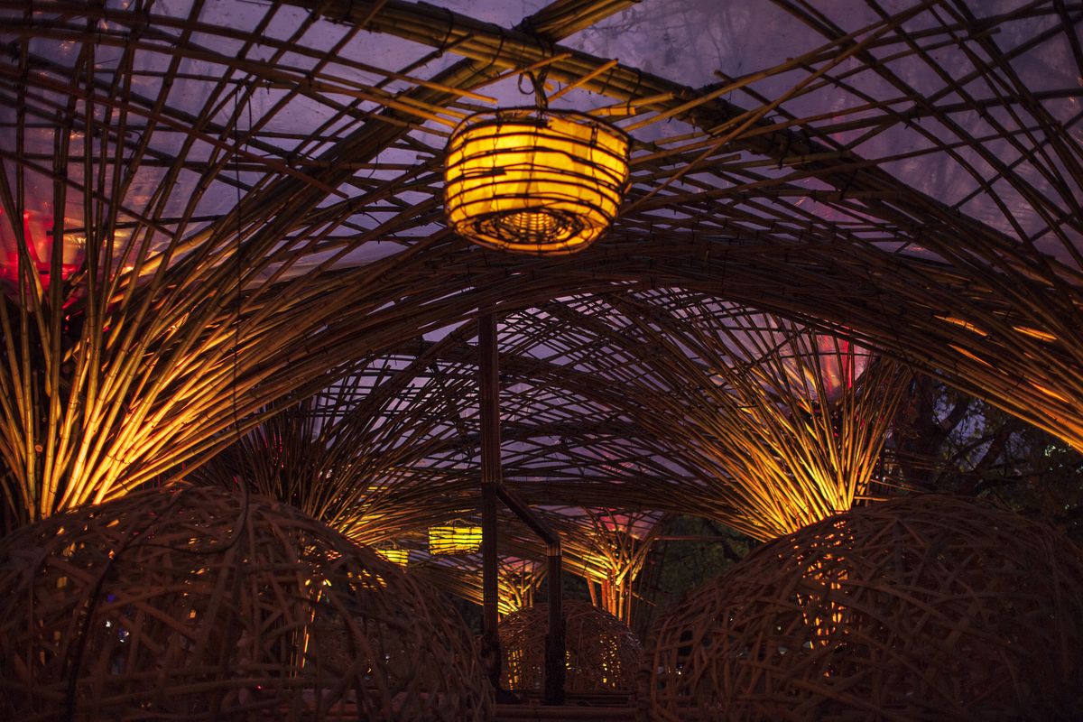 UTAS and Cave Urban join forces to create the Hothouse | ArchitectureAu