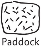 Paddock Landscape Architects | ArchitectureAu