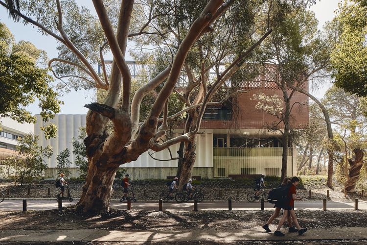 Bob Hawke College Stage 2 by Hassell | ArchitectureAu