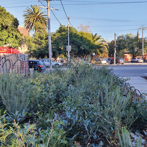 Fostering a meadow mentality | Landscape Australia